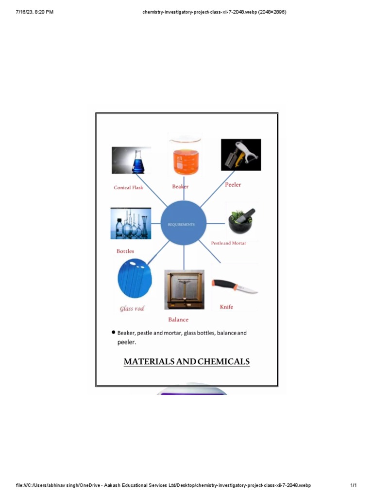 Class XII Chemistry Project Guide | PDF