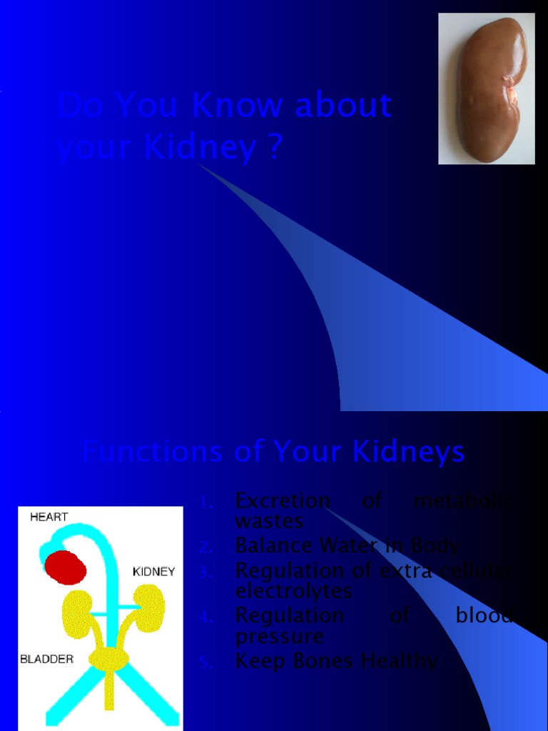 Know Your Kidney | PDF