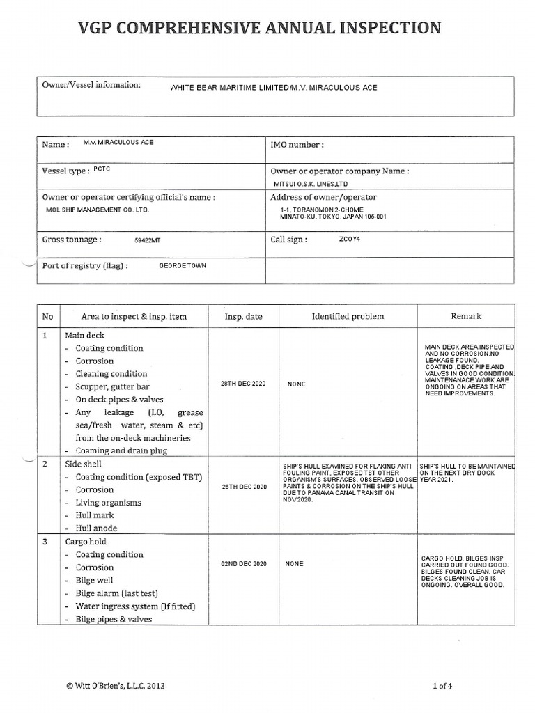 Maritime Inspection Summary | PDF