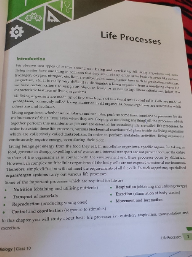 Life Processes Class 10th | PDF