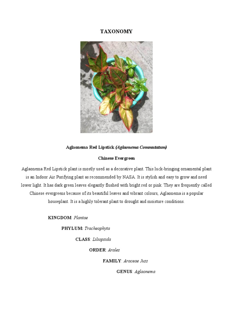 Taxonomy | PDF | Organisms | Plants