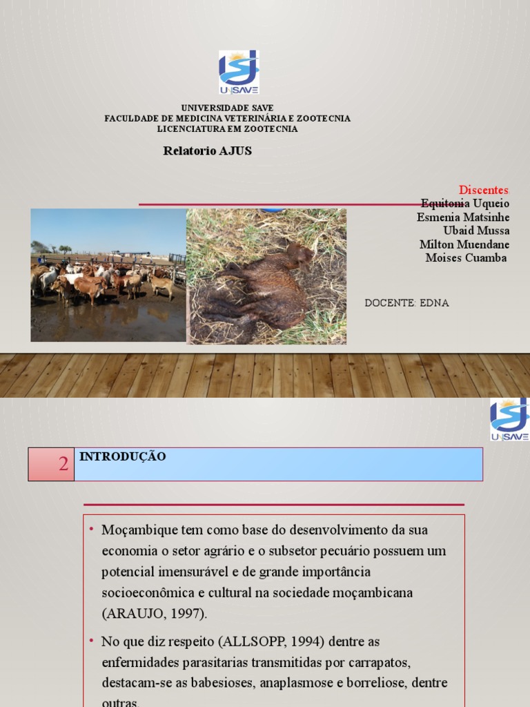 Relatorio Ajus | PDF