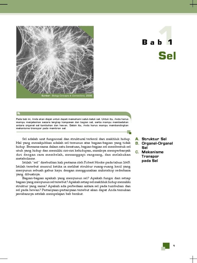 BIOSEL | PDF | Sains & Matematika