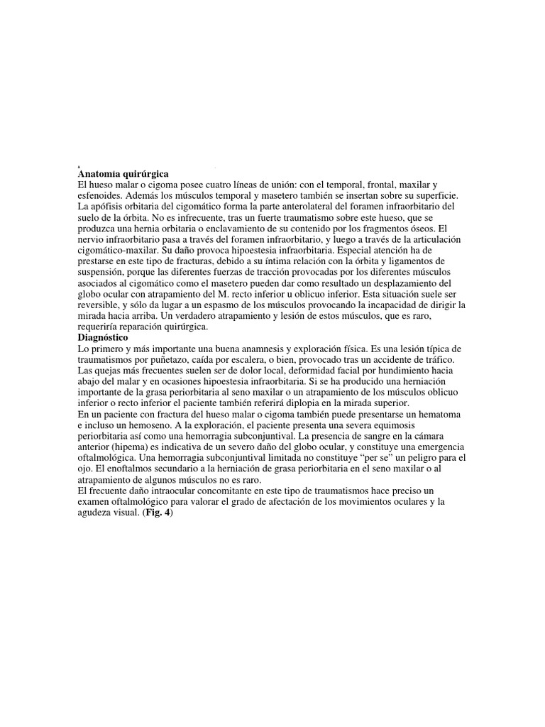 Anatomía Pdf