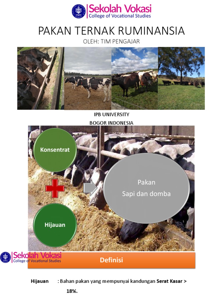 Nutrisi dan Pakan Ternak Ruminansia | PDF | Memasak, Makanan, & Anggur