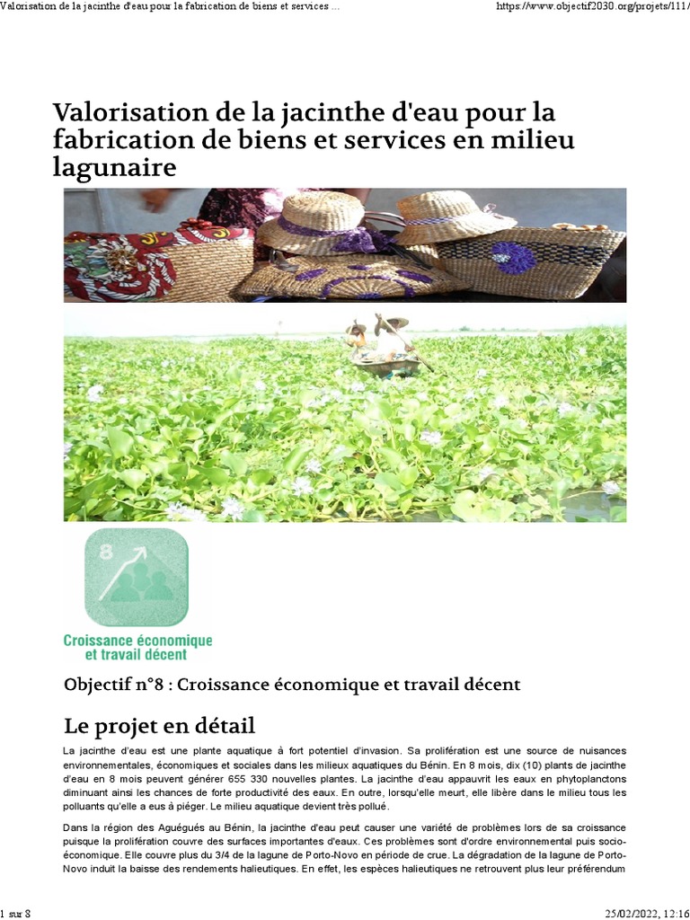 Valorisation de la jacinthe d'eau au Bénin | PDF