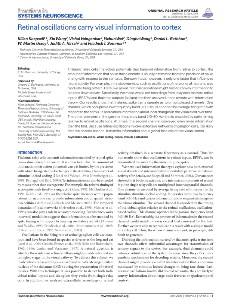 Retinal Oscillations Carry Visual Information To Cortex: Systems Neuroscience | PDF