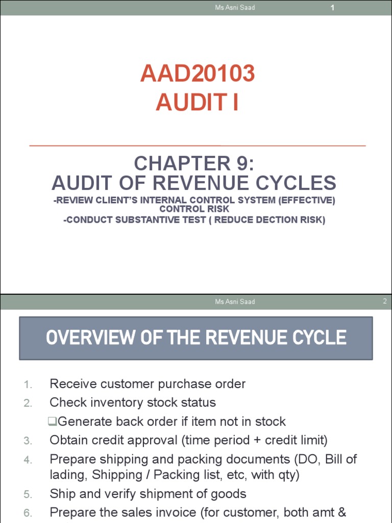 C9 Audit of Revenue Cycles | PDF
