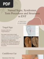 HINTS Exam for Vestibular Assessment | PDF | Vertigo | Vestibular System