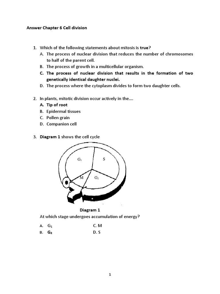 Ans Chapter 6 Cell Division | PDF | Meiosis | Mitosis