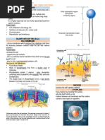 Chapter 3 ANATOMY AND PHYSIOLOGY CELL STRUCTURE & FUNCTION | PDF | Cell ...