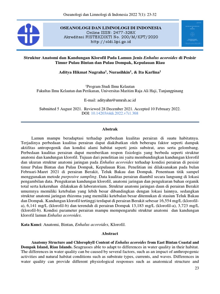 Struktur Anatomi Dan Kandungan Klorofil Lamun Ea | PDF
