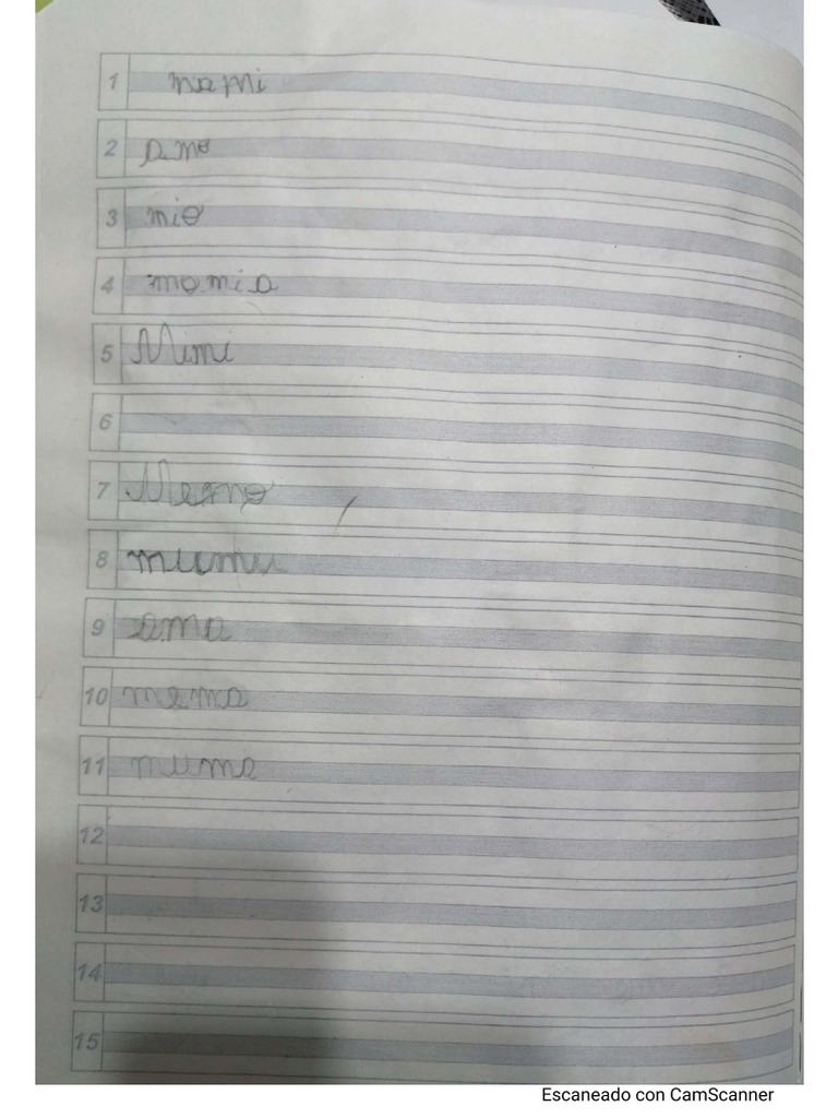 Cuaderno Dictado de 5 Palabras | PDF