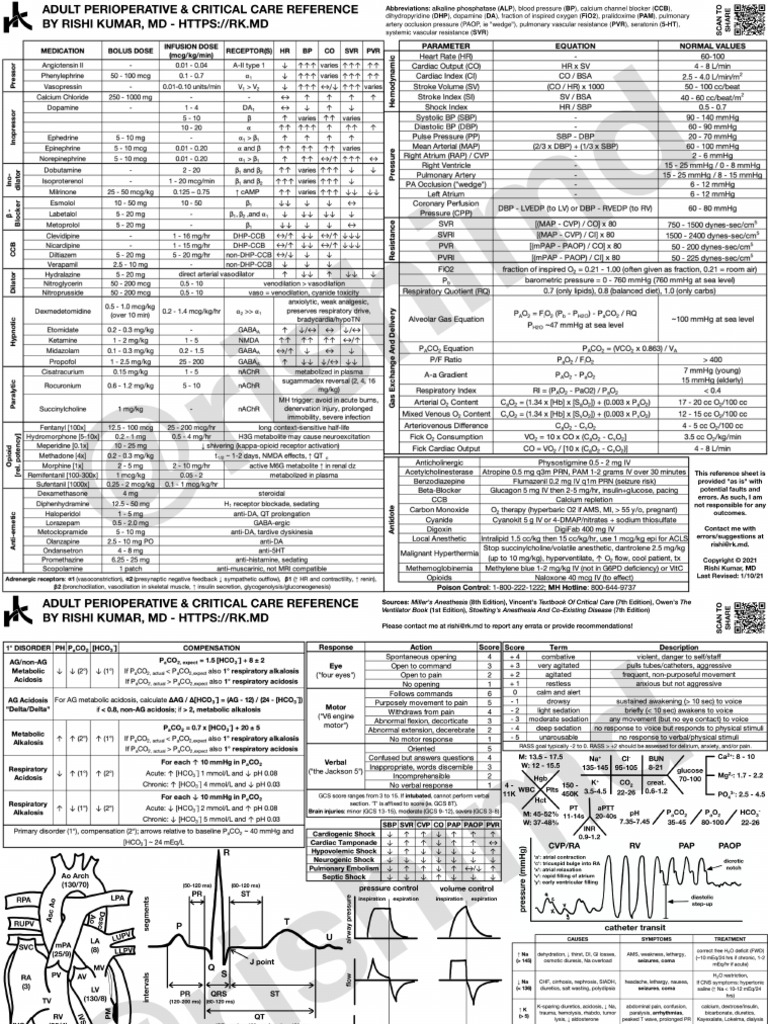 RK Perioperative Critical Care Sheet Jan 2021 | PDF