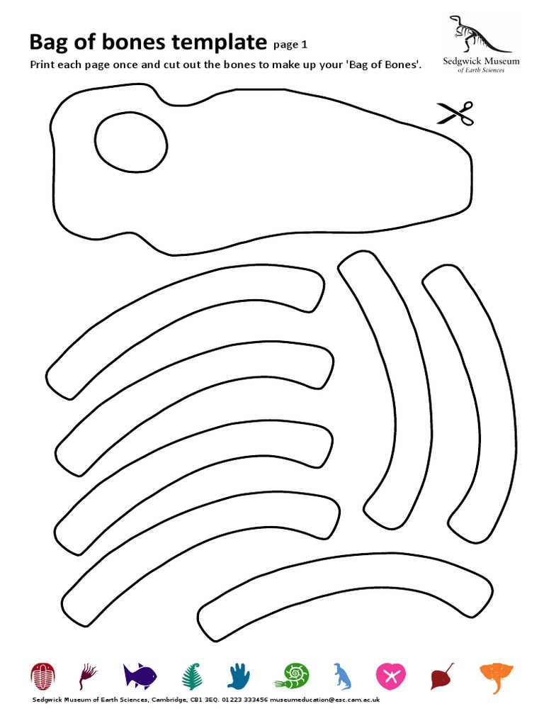 Create Your Bag of Bones Template | PDF