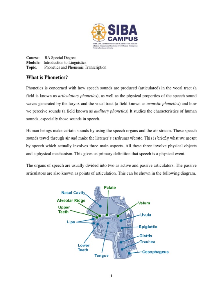 Phonetics - Lesson 03 | PDF Phonetics - Lesson 03 | PDF