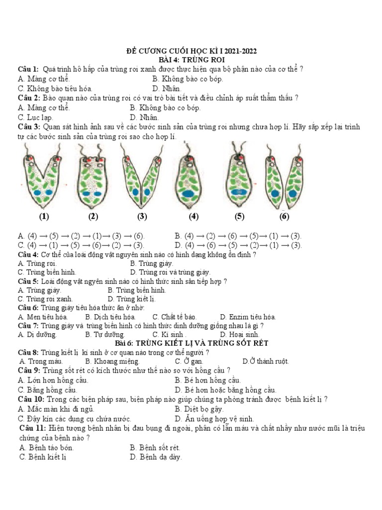 7th Grade Biology Test | PDF