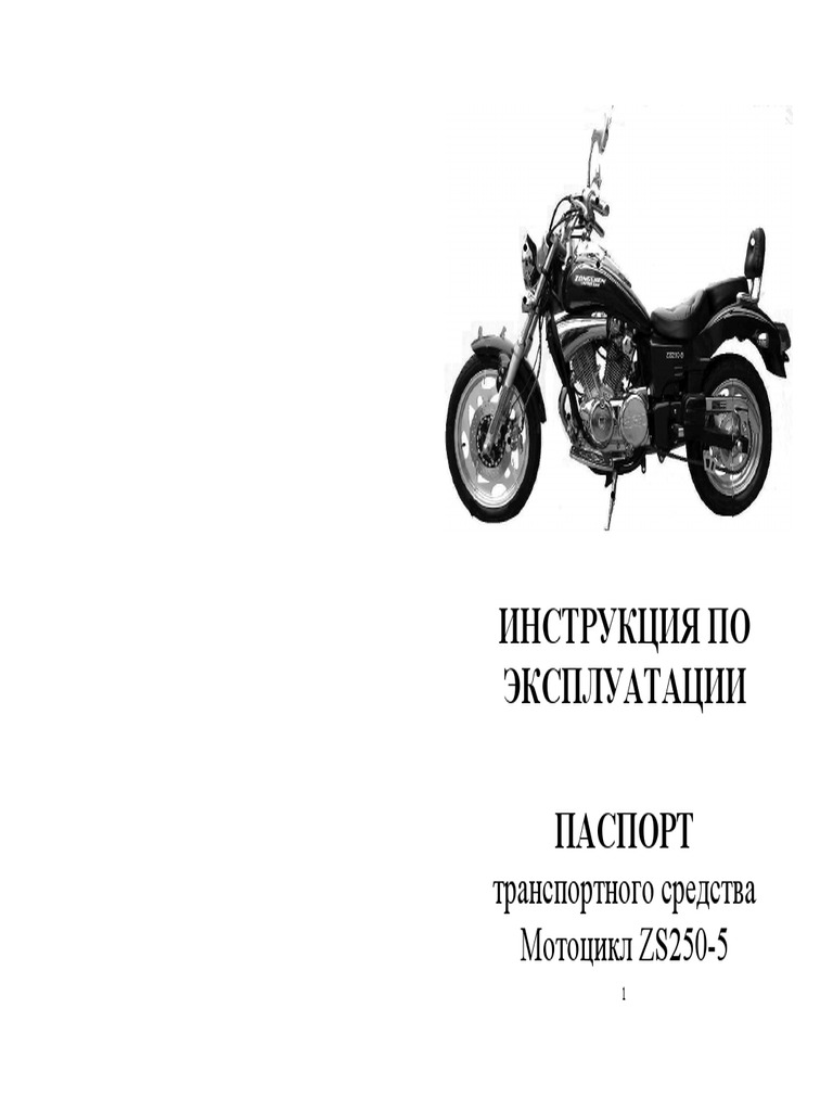 ZS250 5 | PDF