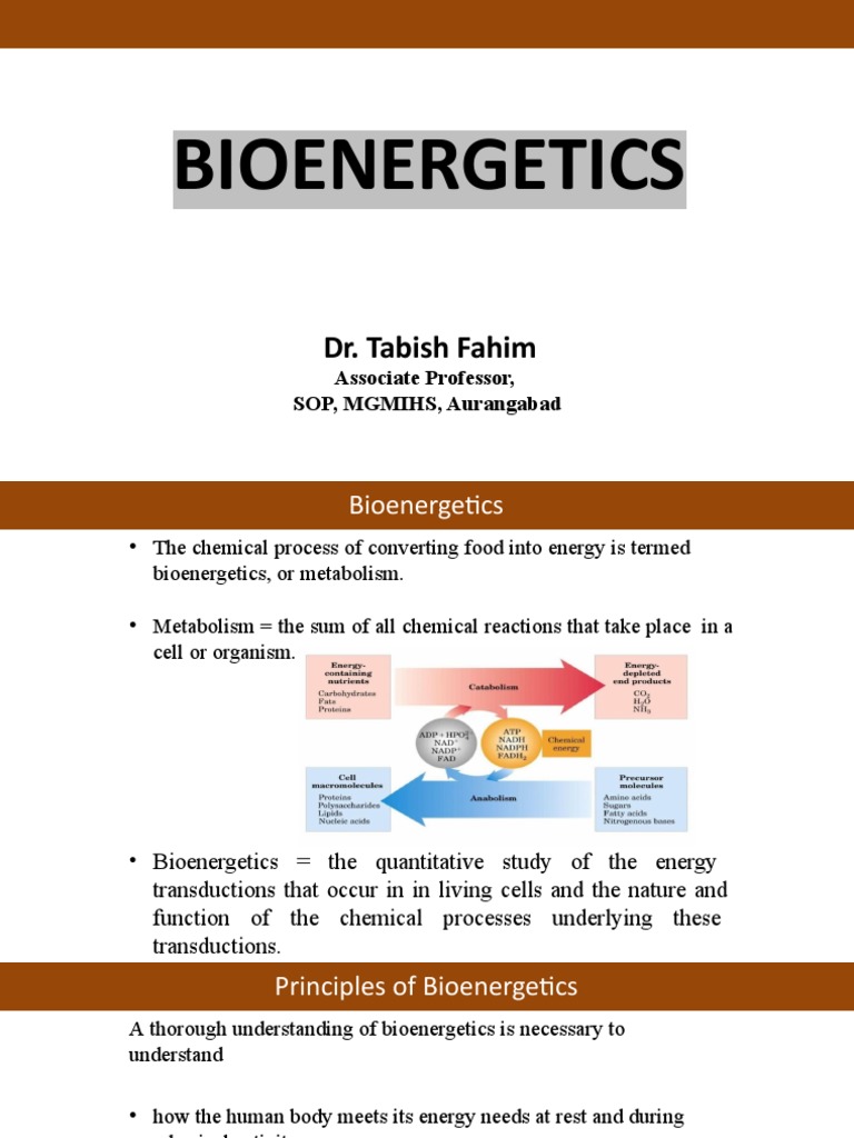 Bioenergetics 1 | PDF