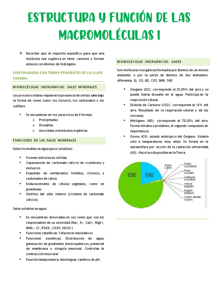 Estructura y Función de Las Macromoléculas I | PDF