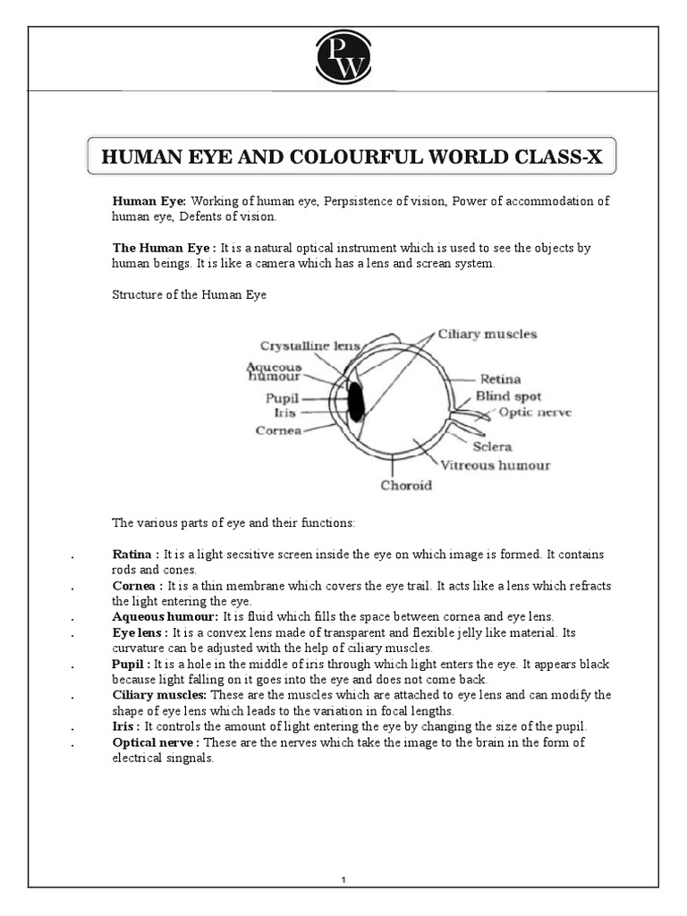 Quick Notes - Human Eye and The Colorful World | PDF
