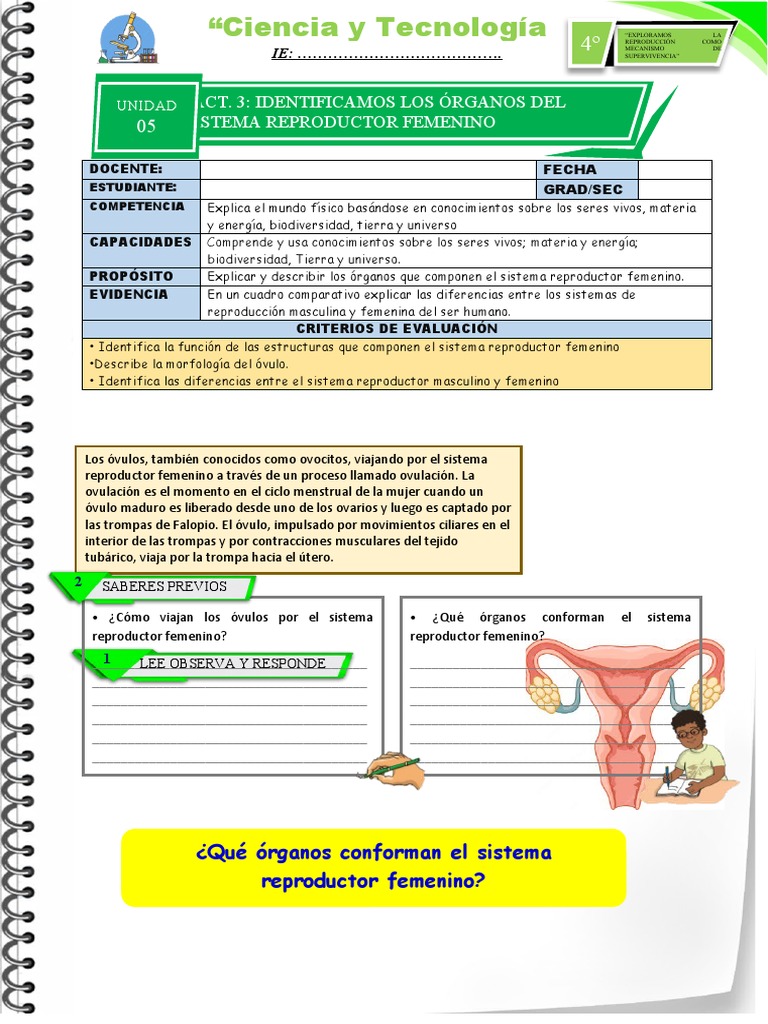 Bio-4º ACT 3-CYT-unidad 5 | PDF