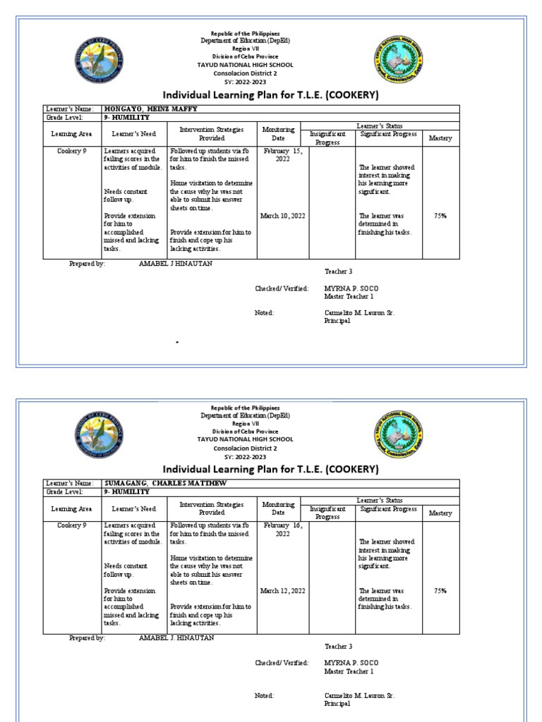 Individual Plan 2 | PDF | Learning | Pedagogy