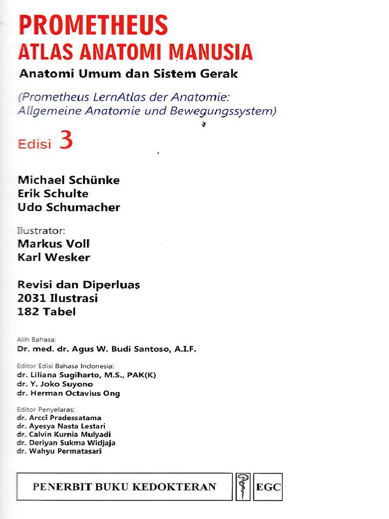 Atlas Anatomi Manusia Prometheus | PDF | Kajian Bahasa Asing | Kesehatan Holistik