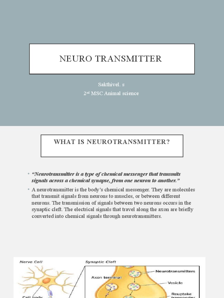 Neuro Transmitter | PDF