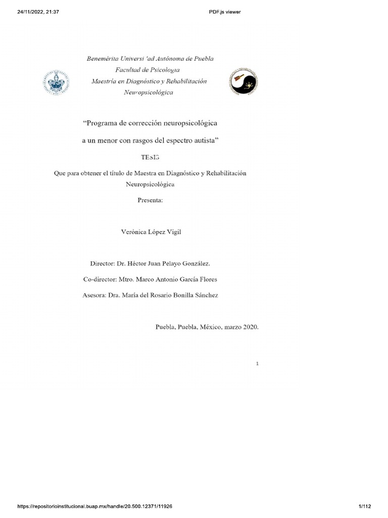 Programa de Corrección Autismo | PDF