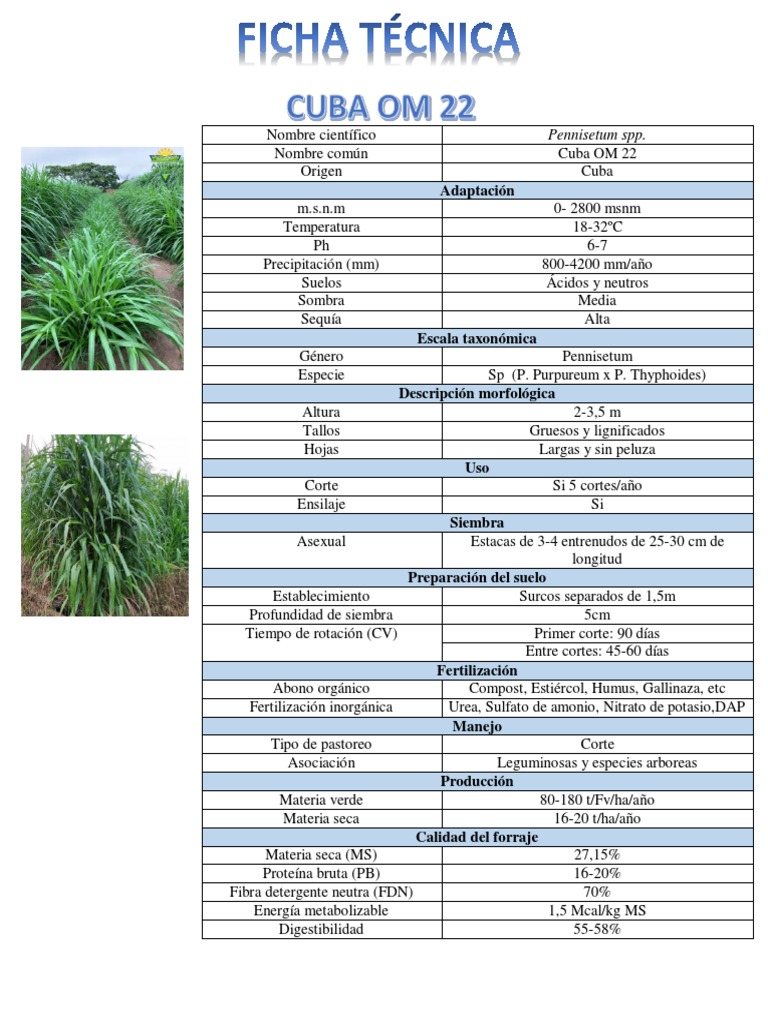 Ficha Técnica Cuba OM 22 | Descargar gratis PDF | Fertilizante ...