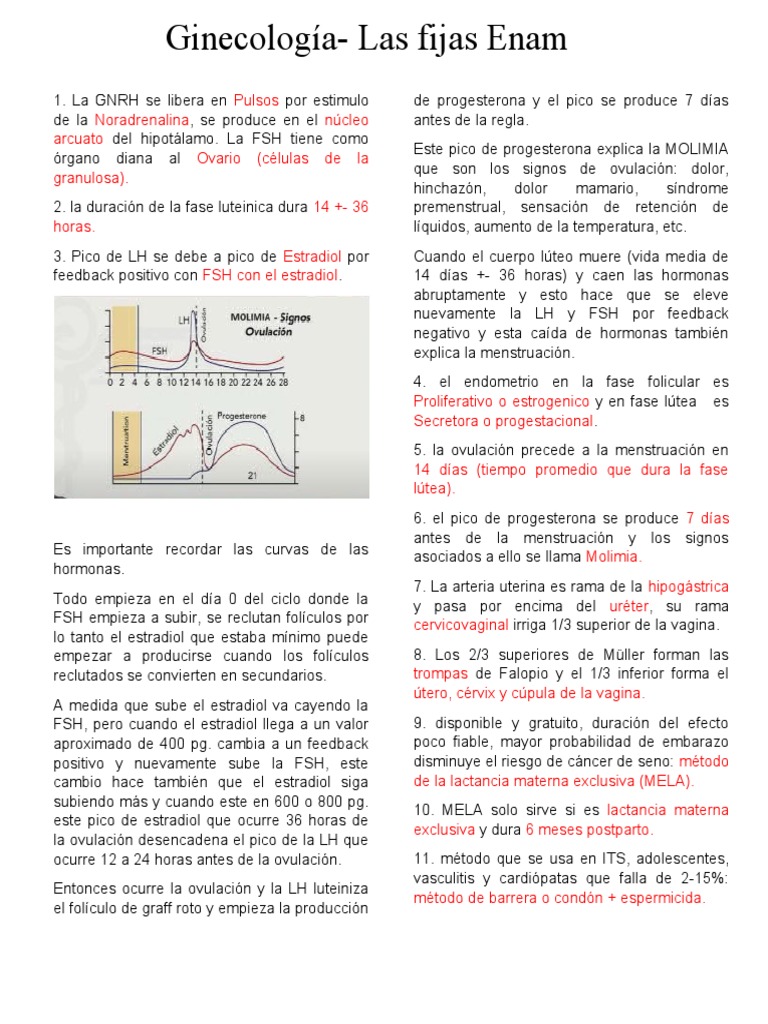 Fijas Ginecologia | PDF