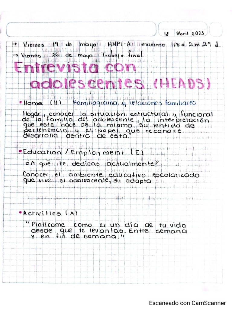 Heads Entrevista Adolescente | PDF