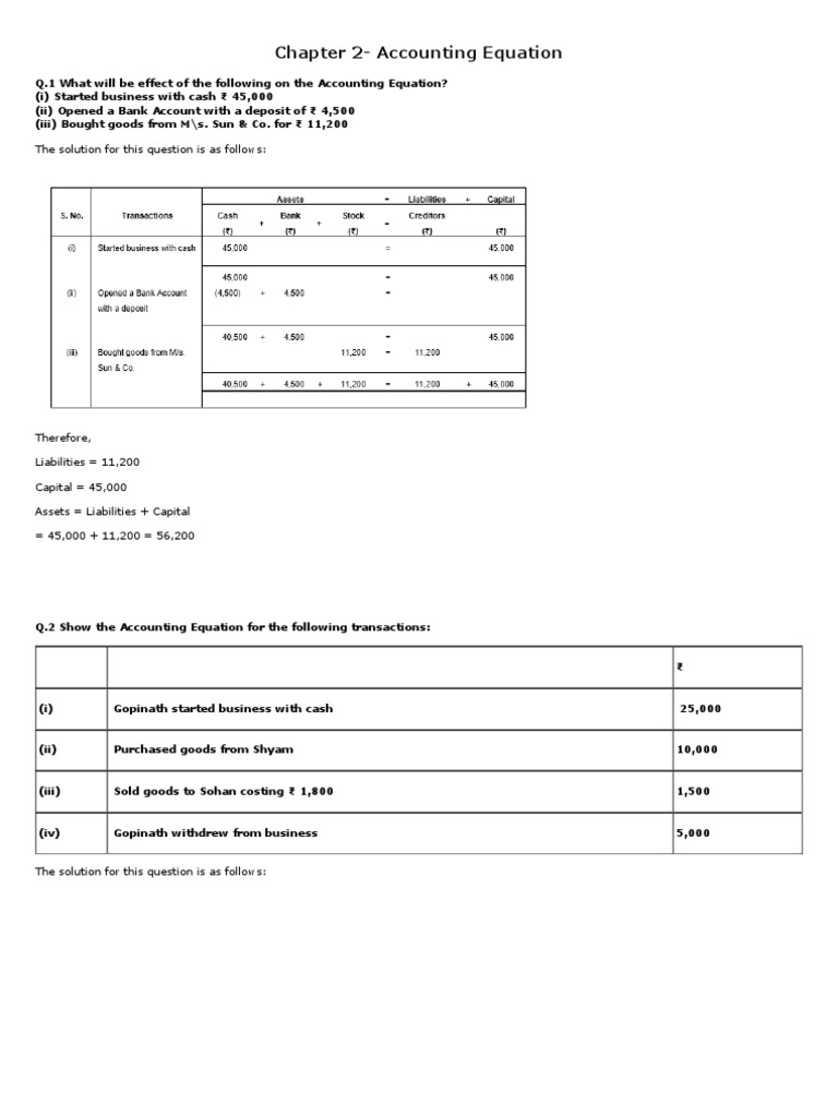 Chapter 2 - Accounting Equation Exercise | PDF