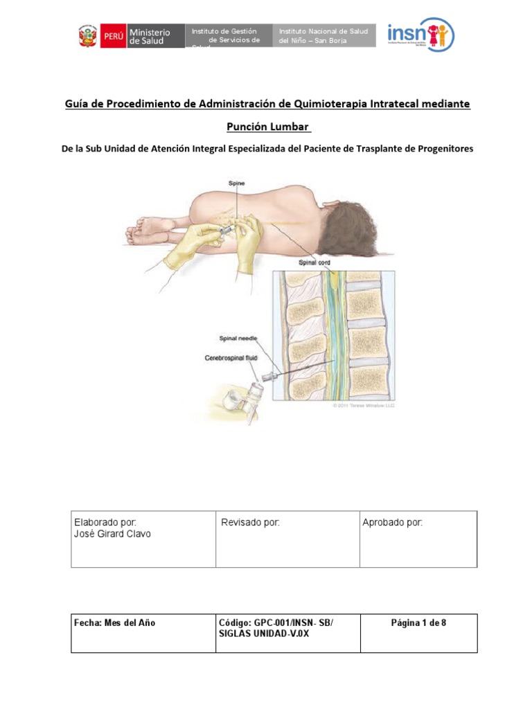 Guía de Procedimientos de Administracion de Quimioterapia Intratecal ...