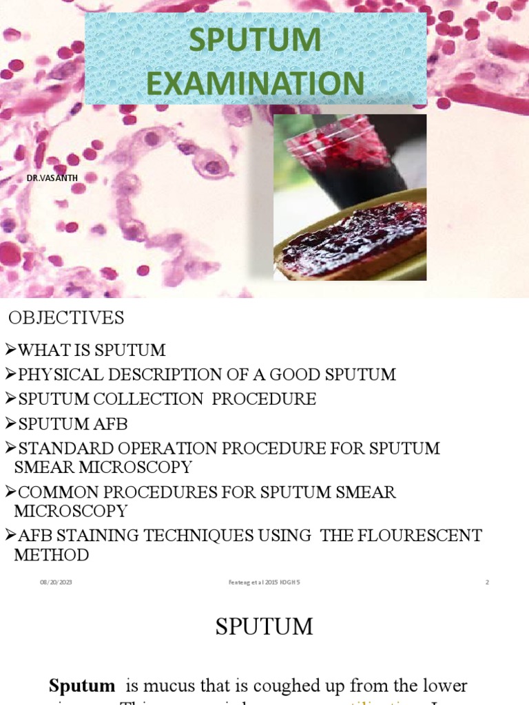 Sputum Examination | PDF