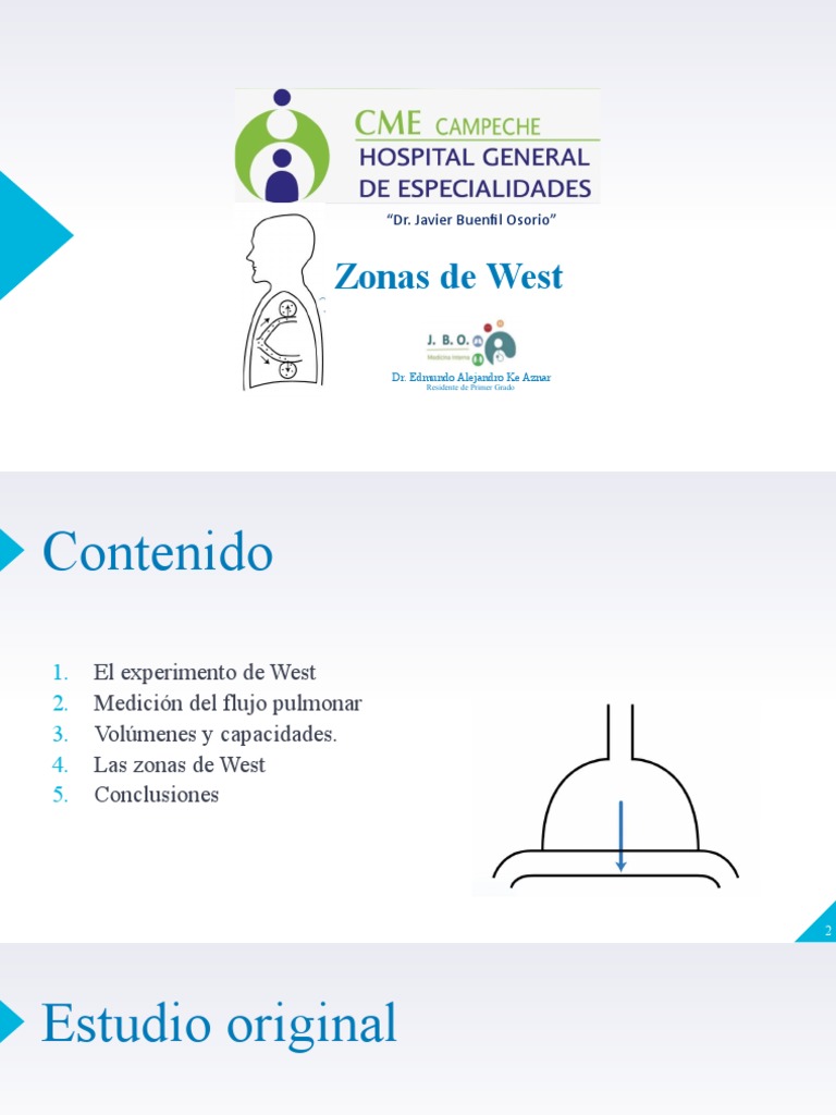 Zonas de West y Flujo Pulmonar | PDF
