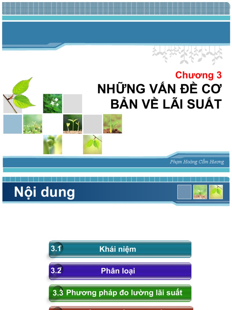 Chuong 3 Nhung Van de Co Ban Ve Lai Suat | PDF