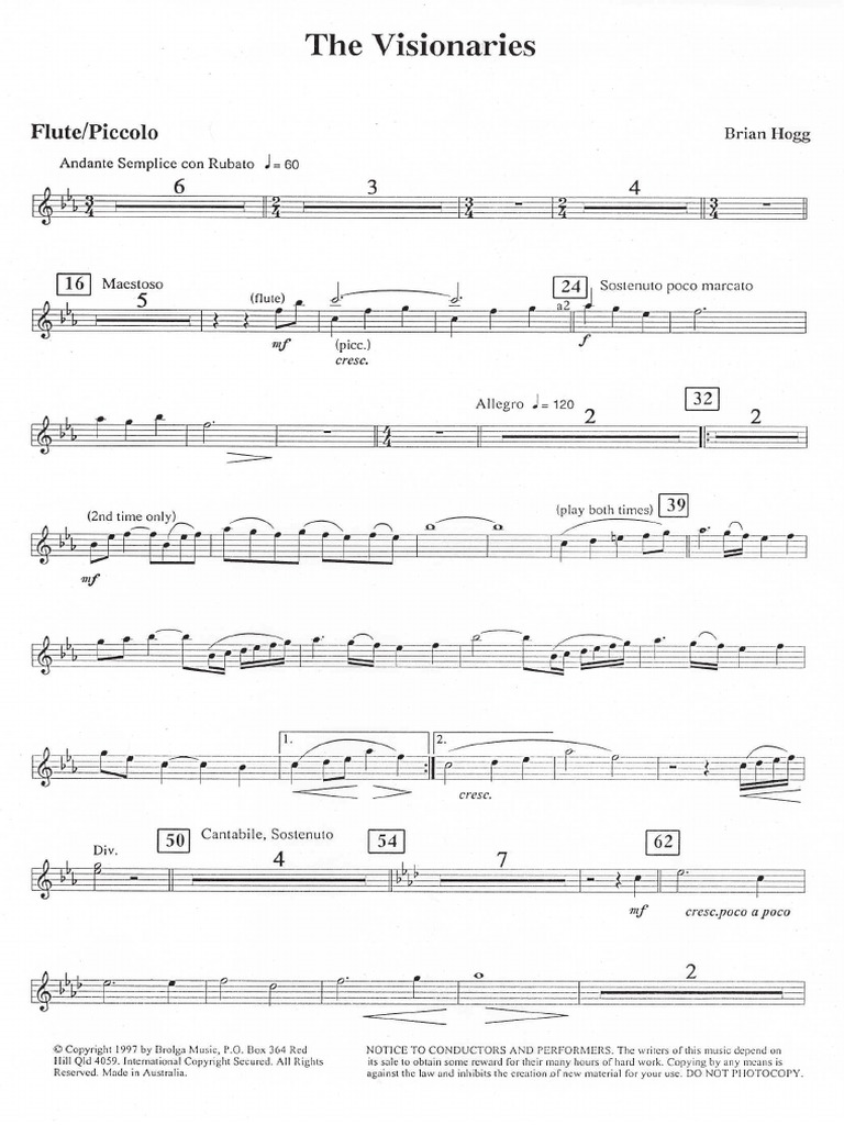 The Visionaries | PDF