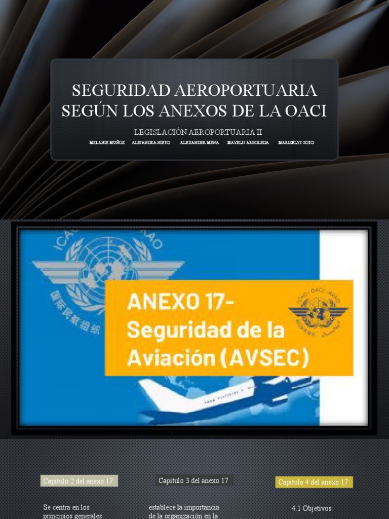 Seguridad Oaci | PDF | Negocios | Ciencias sociales