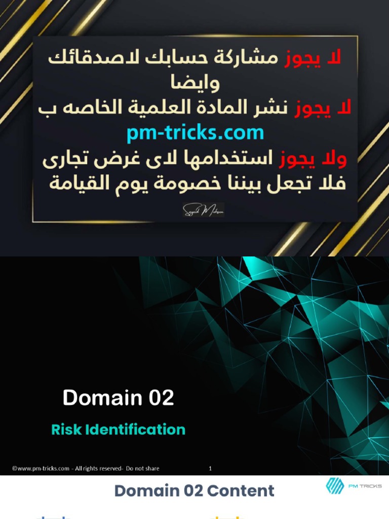 PMI-RMP Risk Identification | PDF