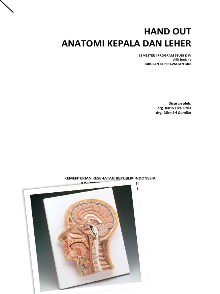 HAND OUT Anatomi Kepala Leher | PDF
