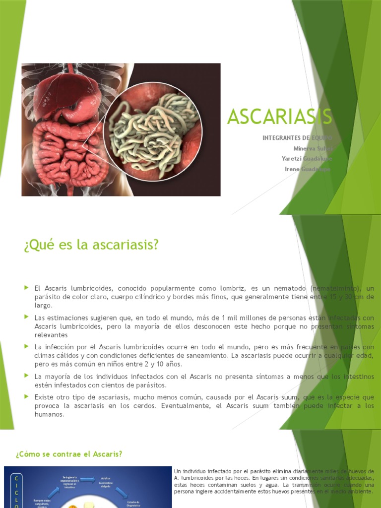 Ascariasis Tae | PDF | Causas de la muerte | Gastroenterología