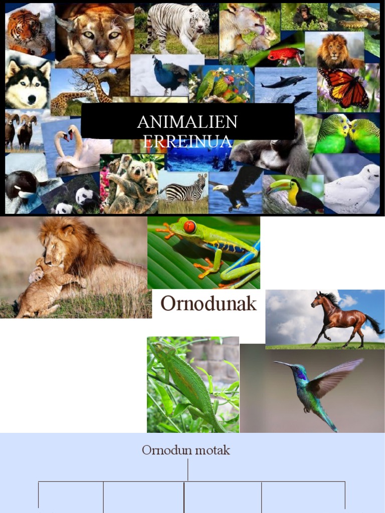 Bio Geo Animaliak | PDF