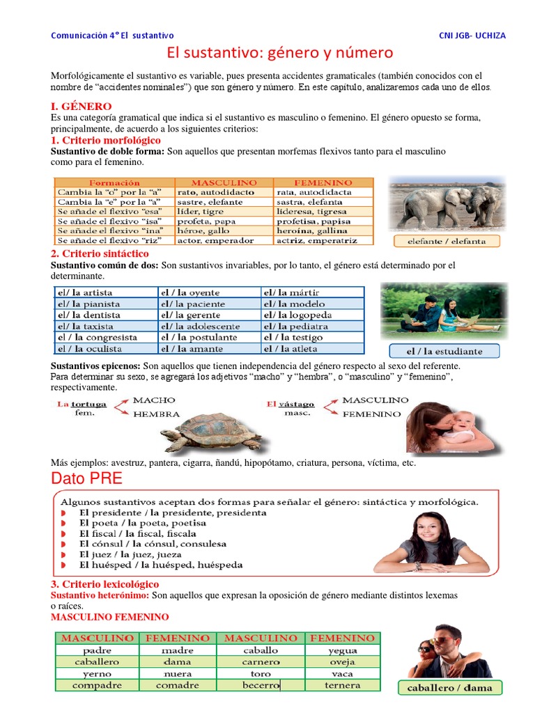 El Sustantivo | PDF | Género gramatical | Numero Gramatical