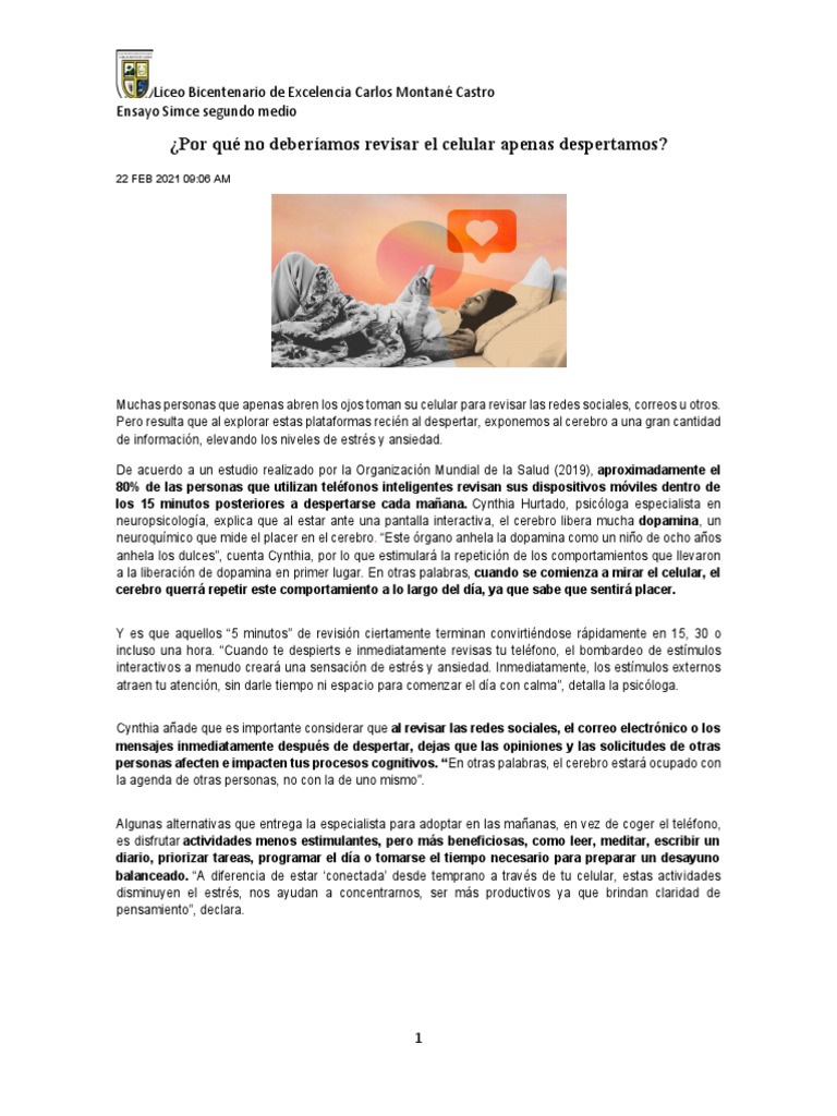 Guía Simce 3 Alumno | PDF