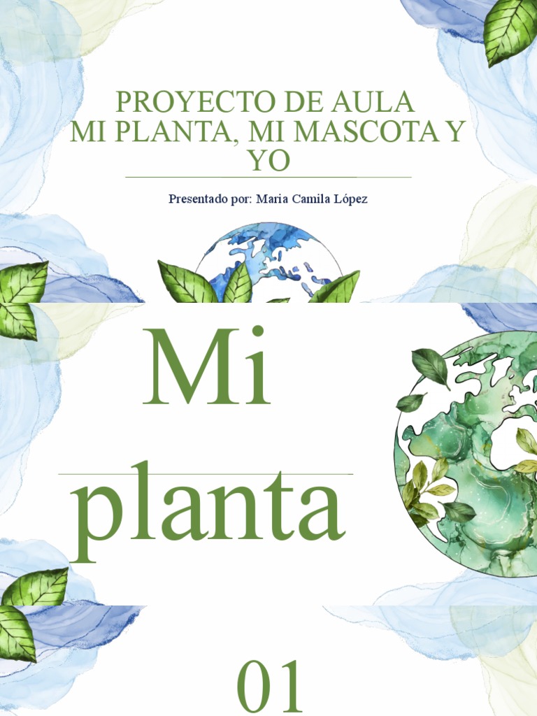 Proyecto de Aula | PDF