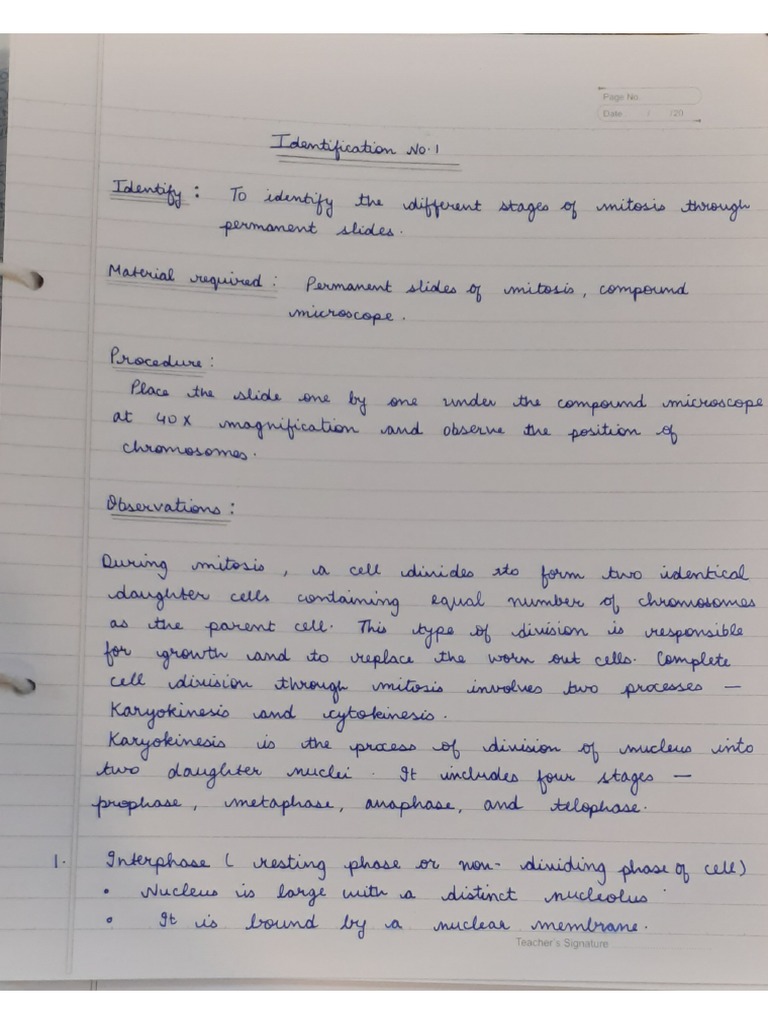 Biology Practicals Class 10 | PDF