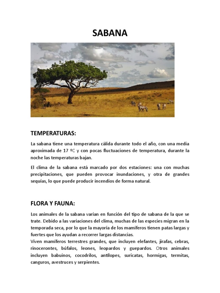 Sabana | PDF | Ciencia y matemáticas | Tecnología