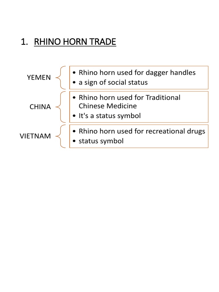 RHINO | PDF | Rhinoceros | Poaching